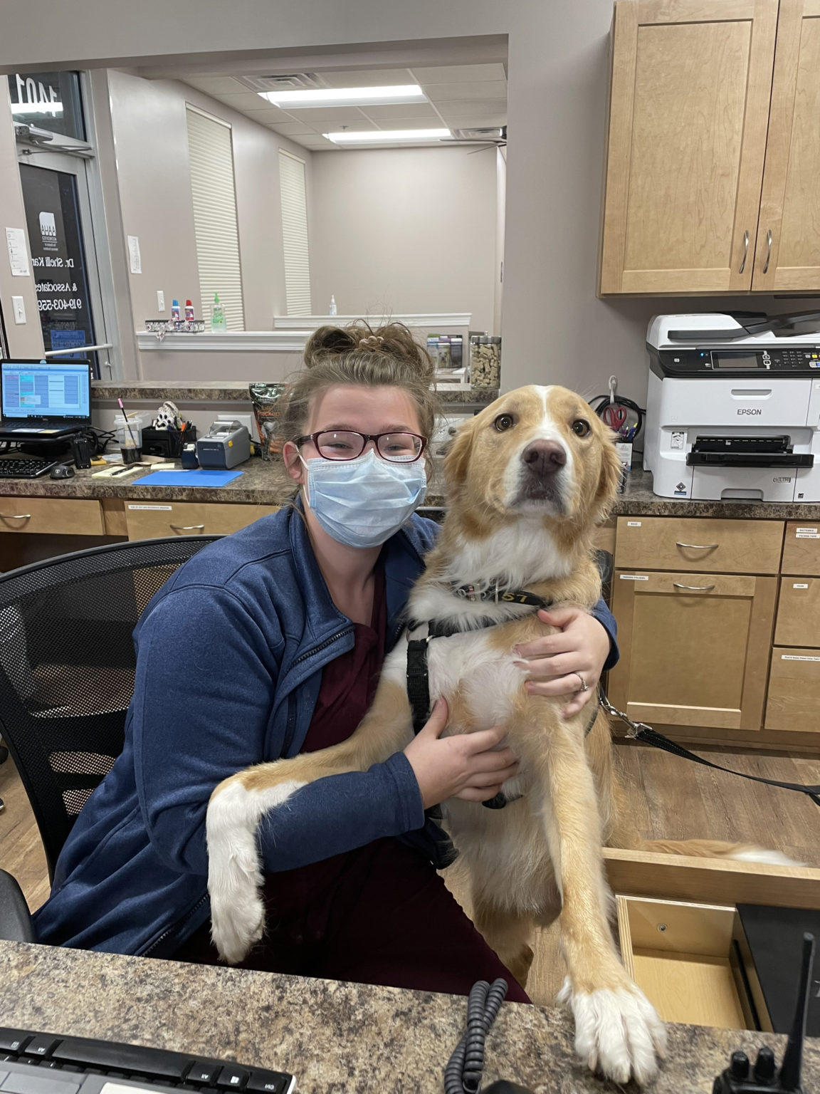 Our Hospital | Falconbridge Animal Hospital